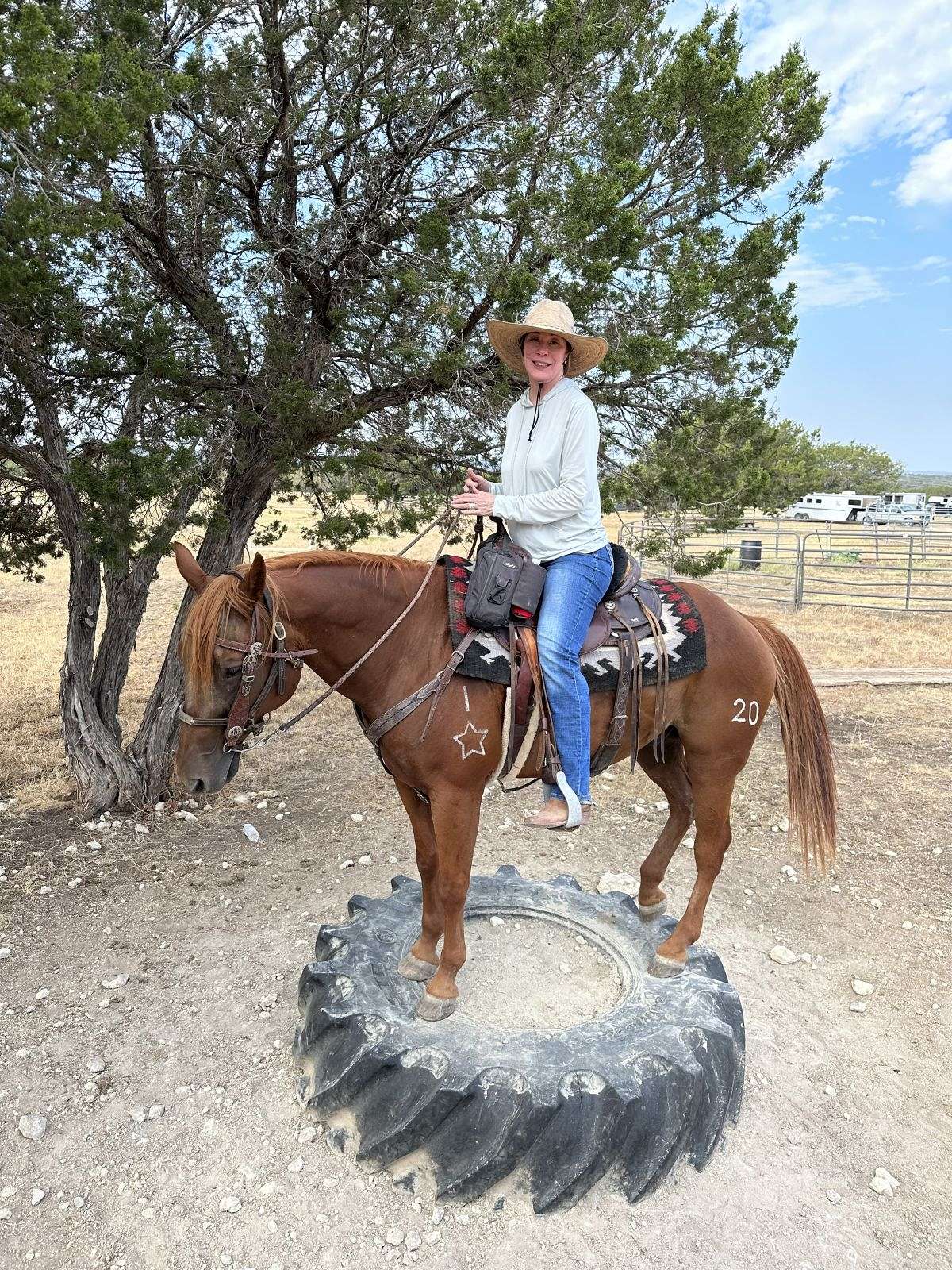 Texas Prison Horse