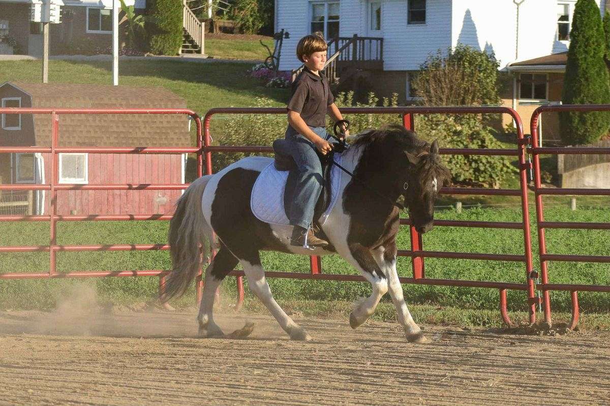 Flash - Kids Pony Deluxe 4 Yr Old Piebald Pony Gelding!