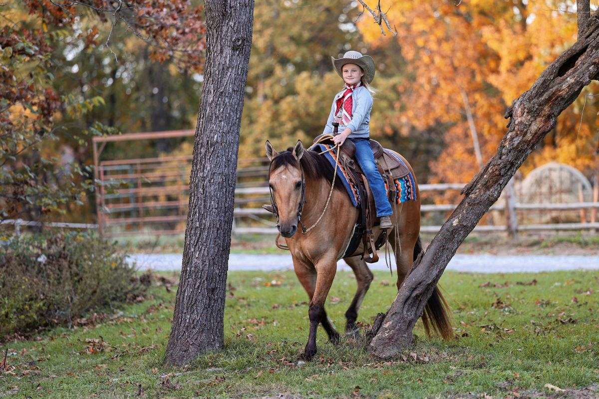 Waylon - Perfect Trail Companion 5 Yr Old Buckskin AQHA Gelding!