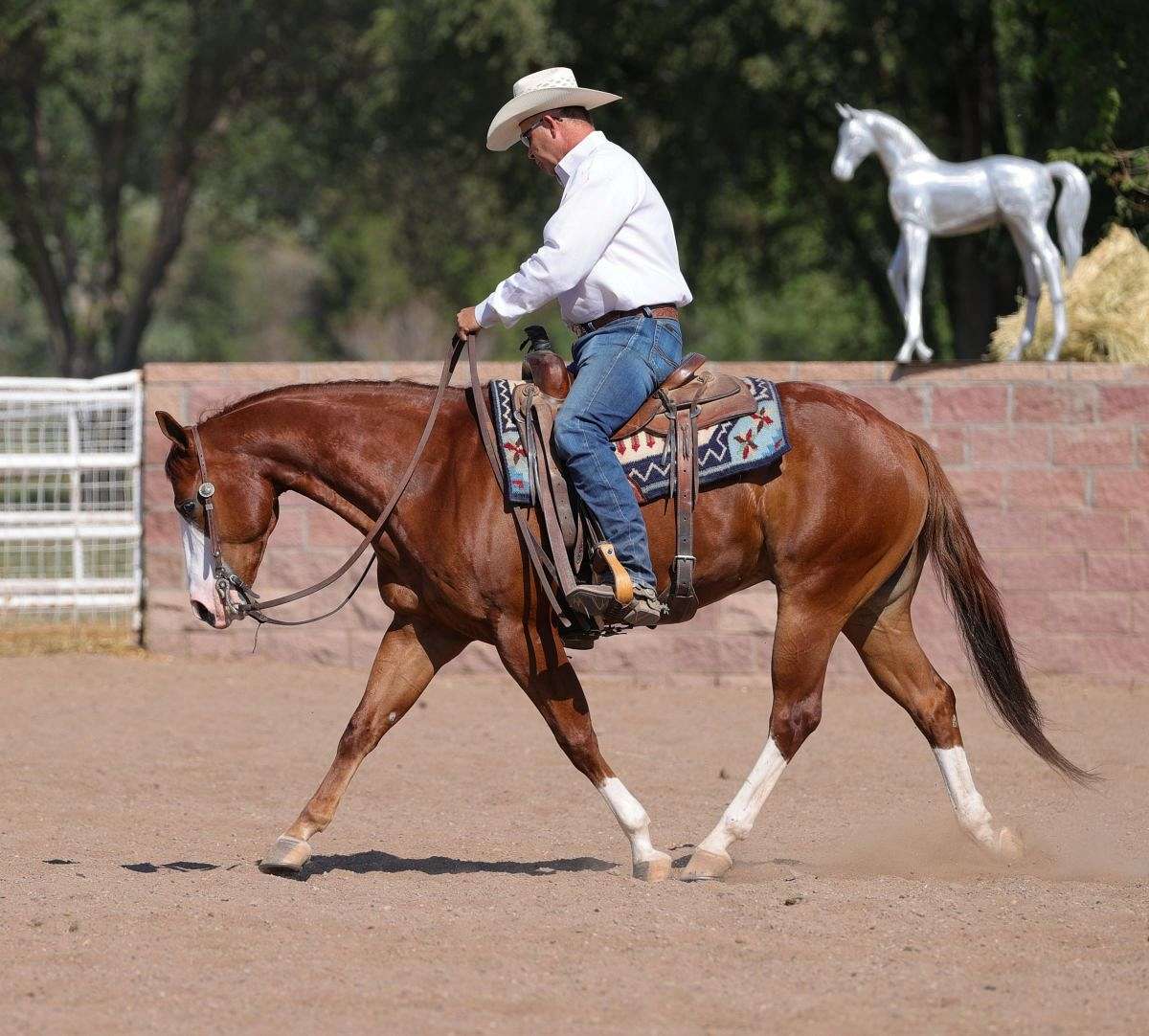 Joe - Flashy Ranch and Arena Horse 4 Yr Old Sorrel AQHA Gelding!