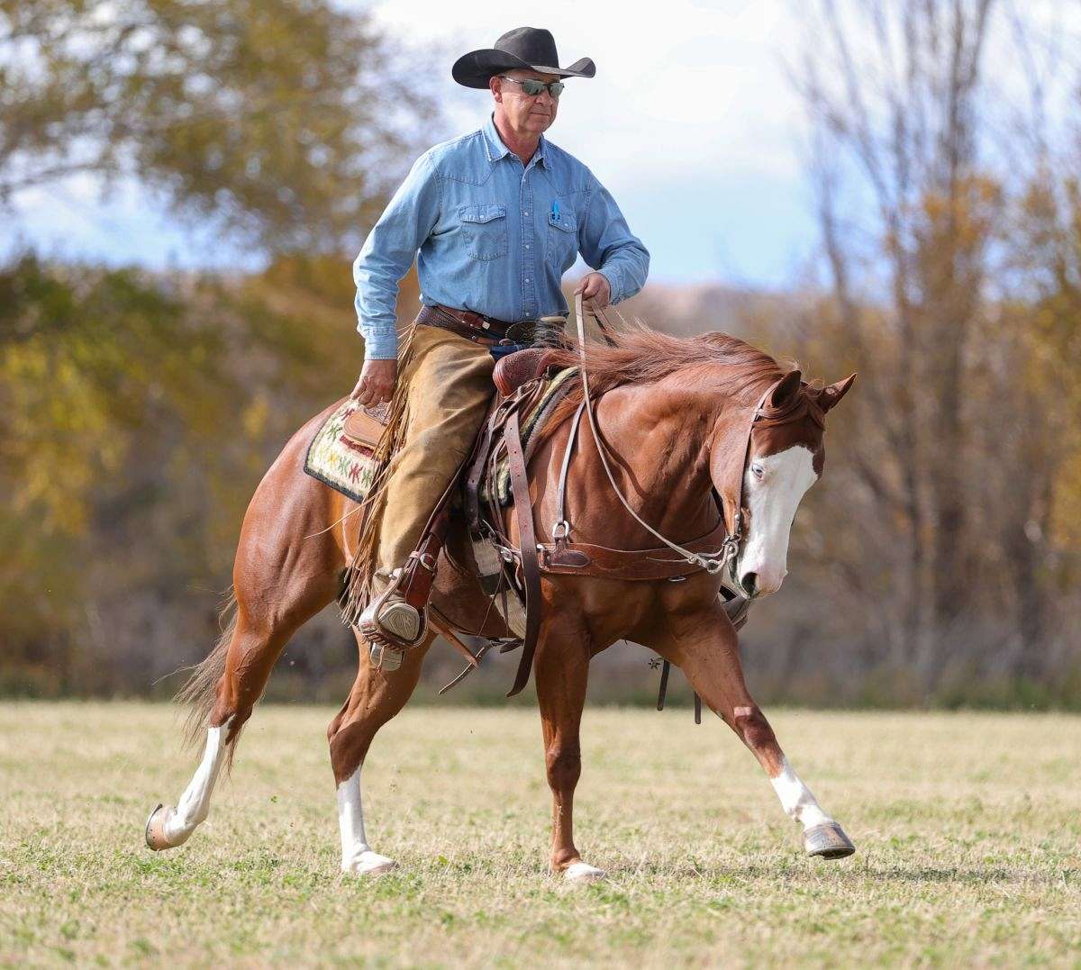 Joe - Flashy Ranch and Arena Horse 4 Yr Old Sorrel AQHA Gelding!