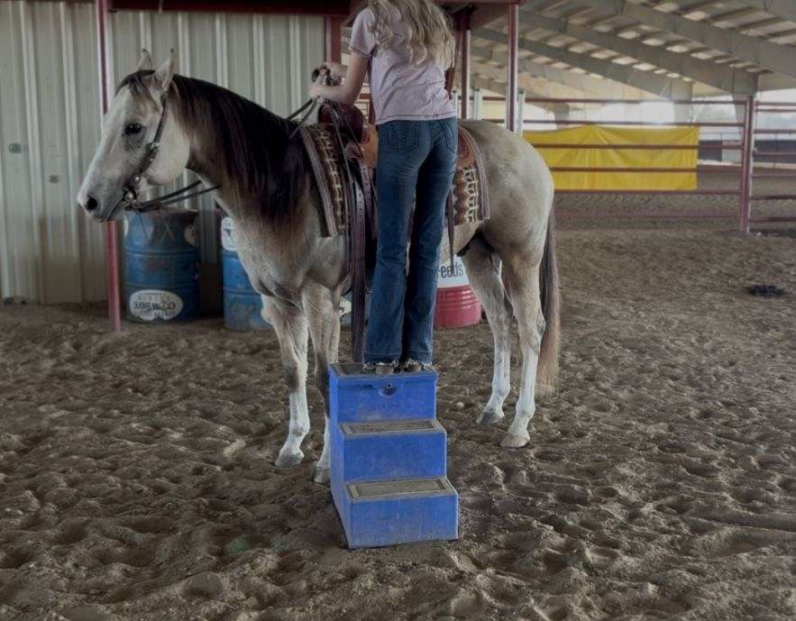 Ucan Call Me Mister - Gentle Ranch/Family Horse 5 yo Buckskin AQHA Gelding!