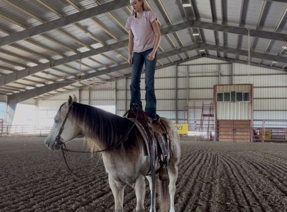 Ucan Call Me Mister - Gentle Ranch/Family Horse 5 yo Buckskin AQHA Gelding!