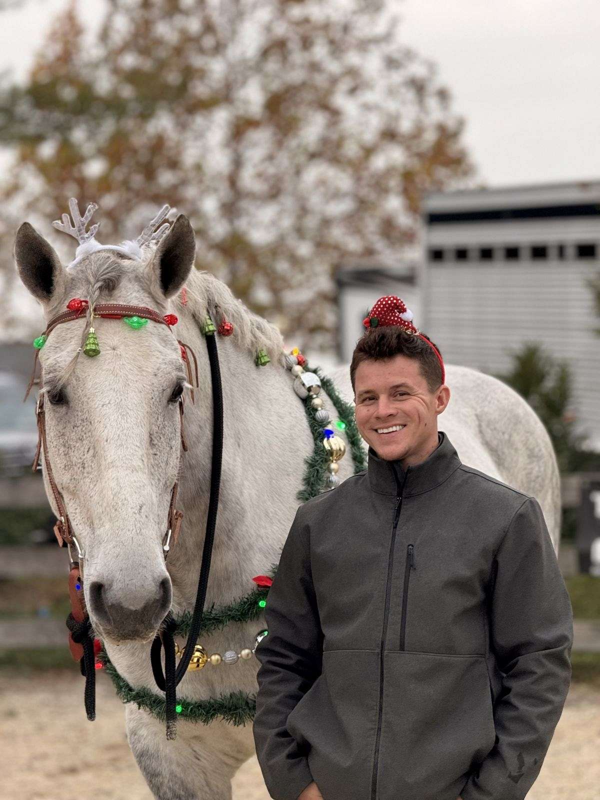 Silver - Absolutely Incredible 7 Yr Old Grey Perch/QH Cross Gelding!