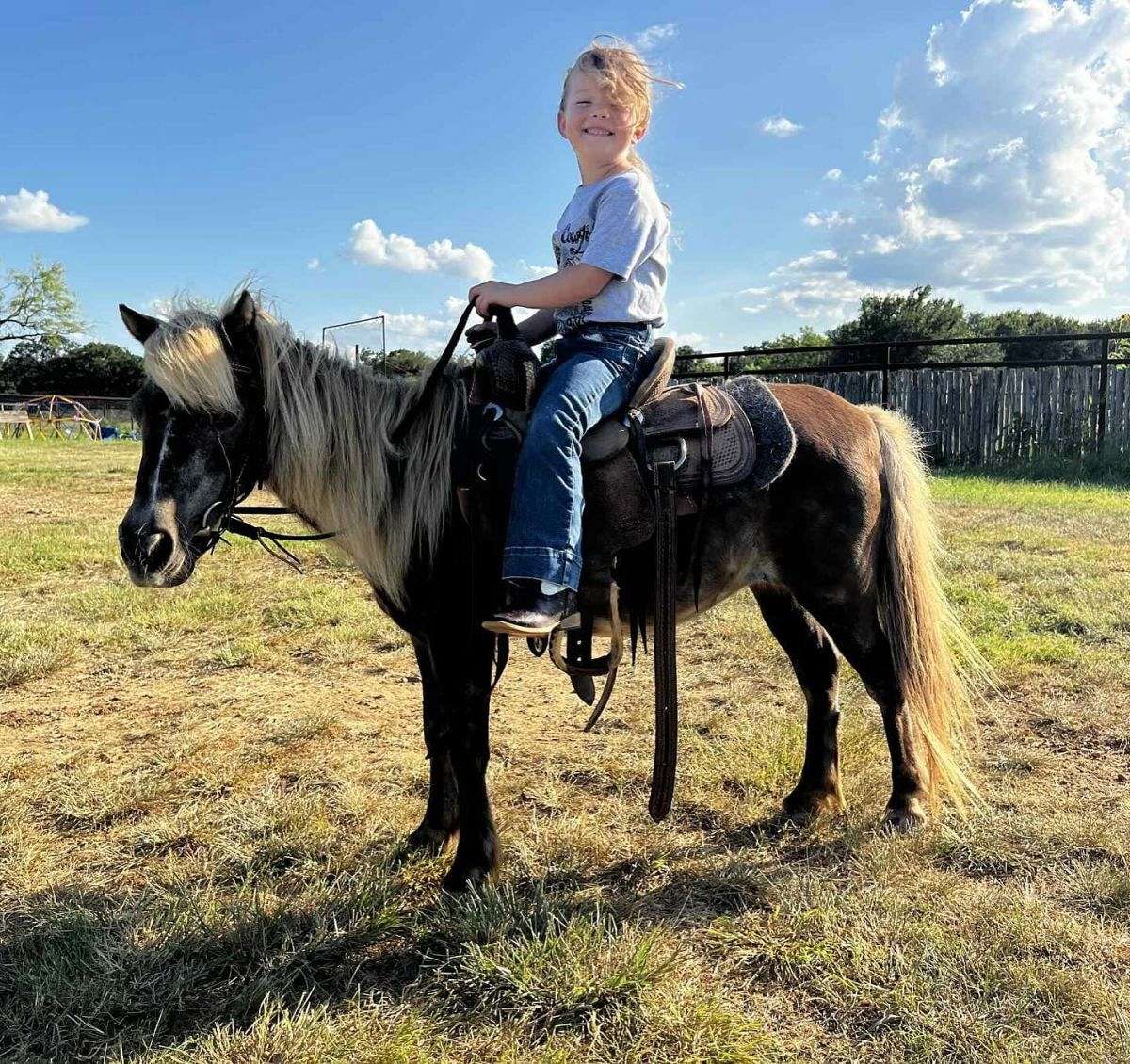 Sweet Mini Pony Mare
