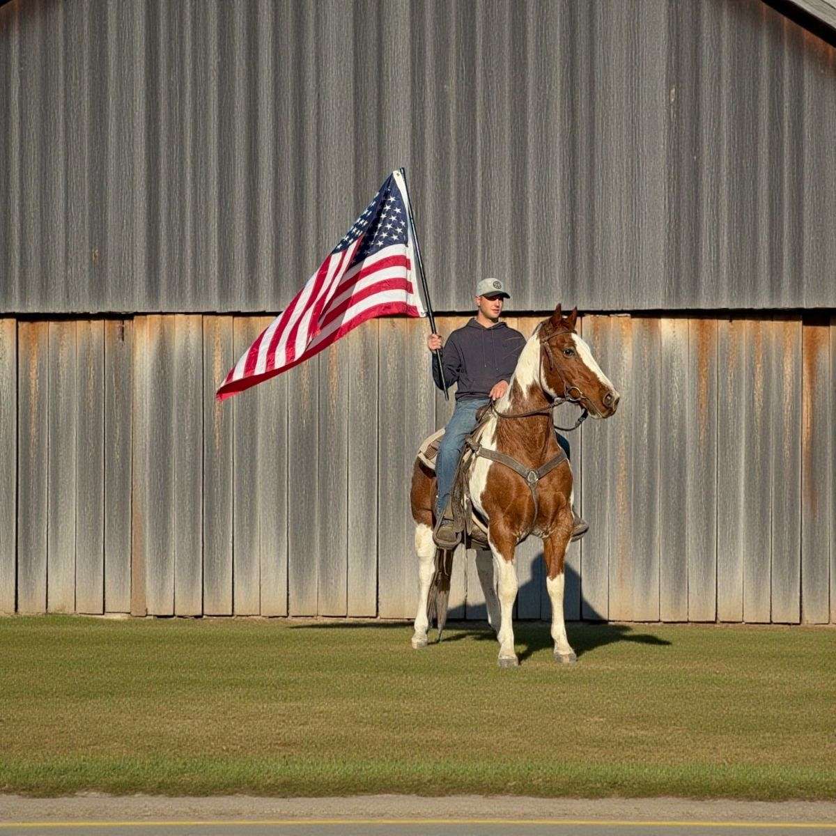 Ranch Horse Deluxe 12 Yr Old Red Roan Overo Quarter Horse Cross Gelding!