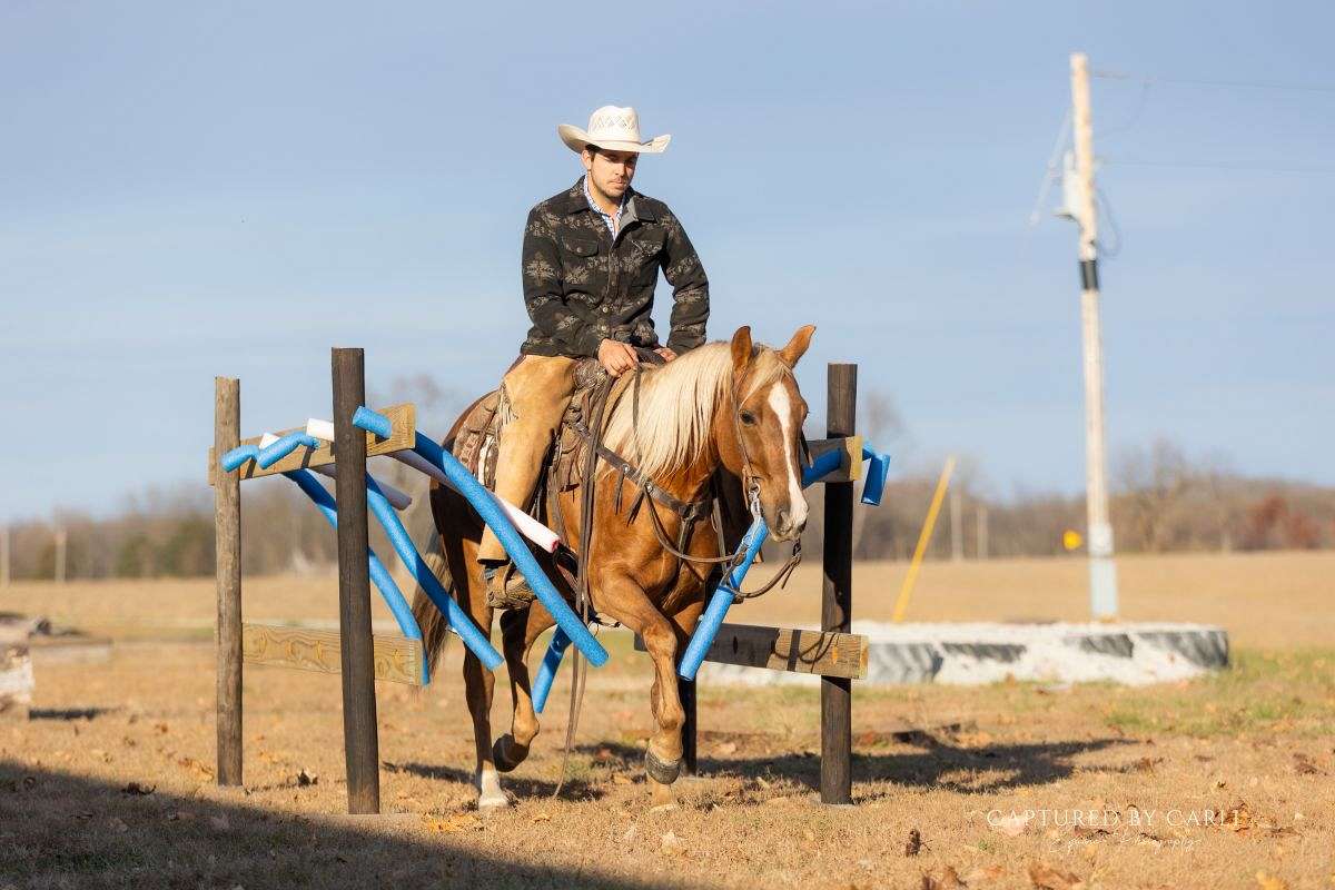 Jj - Awesome Ranch & Roping Partner 4 Yr Old Palomino AQHA Gelding!