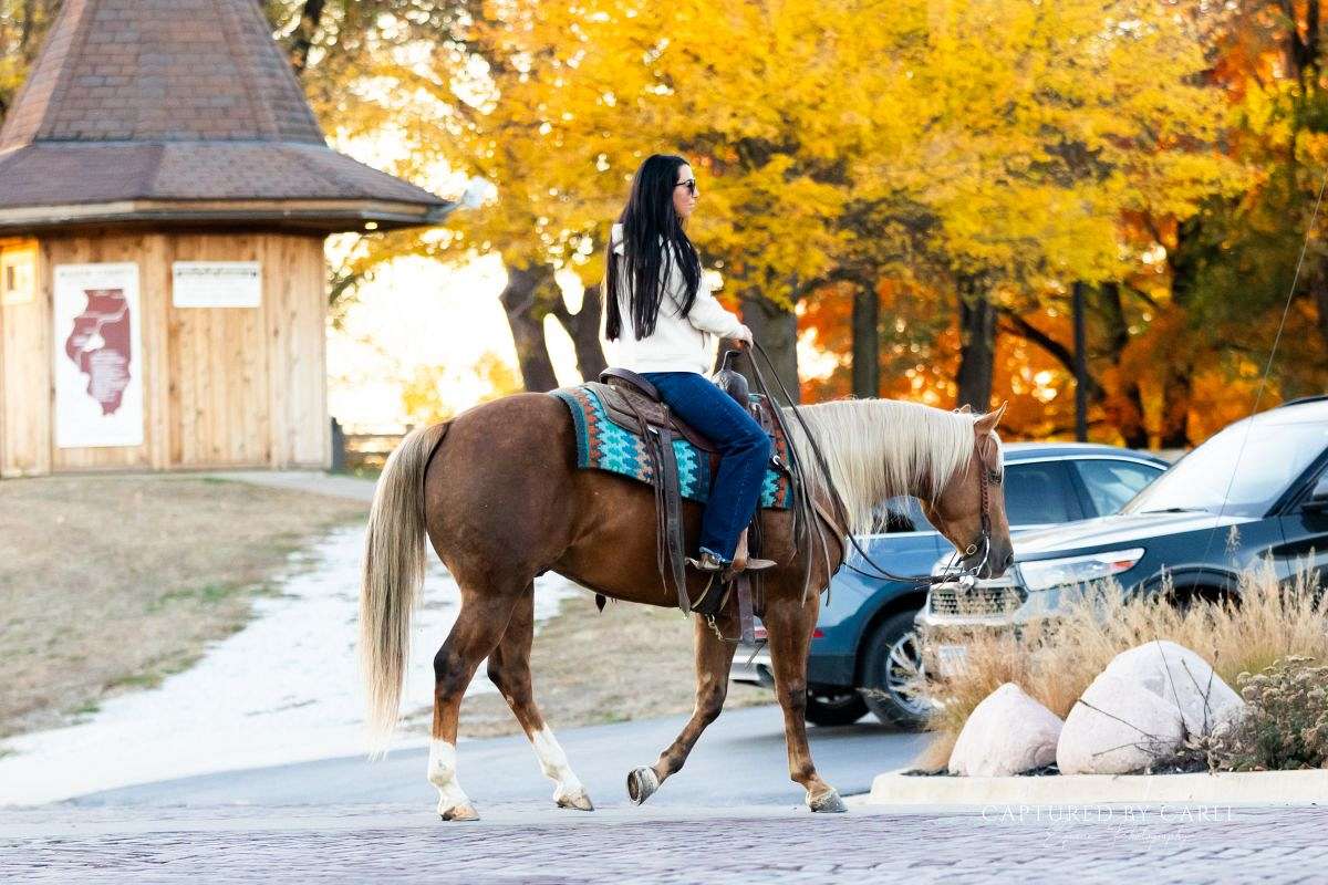 Sunny - Phenomenal Ranch & Roping Horse 4 Yr Old Palomino AQHA Gelding!