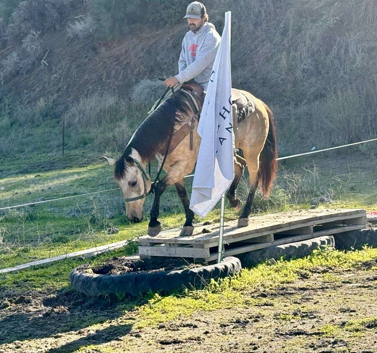 Spooks Gotta Whiz X Electric Code, Family Safe, Reiner, Ranch/Trails!