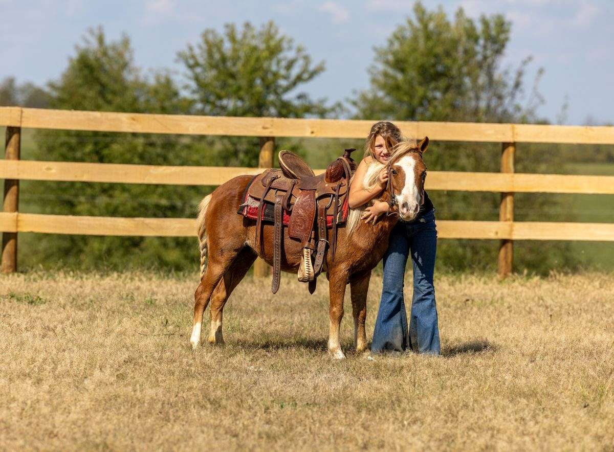 Pancake - Sweetest Sorrel Mare Pony , Broke to Ride & Drive