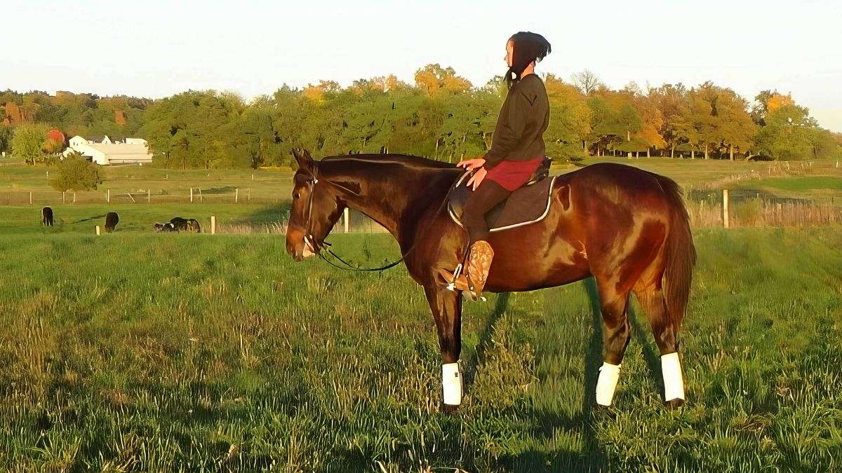 Isabelle, 2021 Thoroughbred Mare | Unraced, Endurance Prospect, Trail Horse