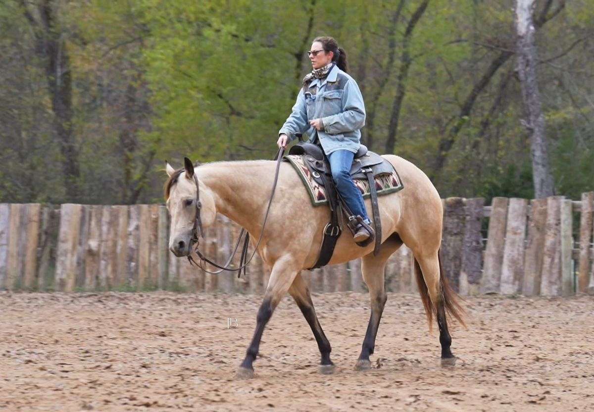 Beautiful AQHA Buckskin All-Around Trail/Show Mare - PRE Vetted!