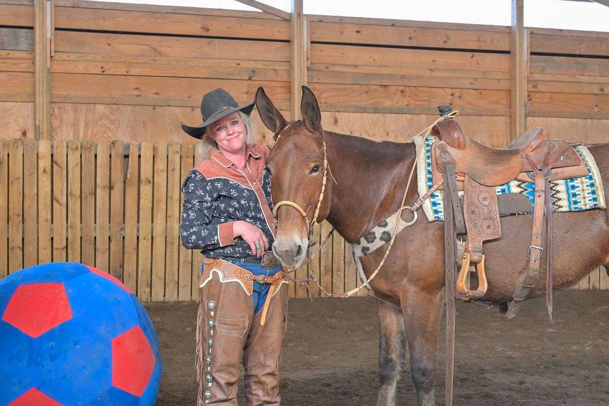Rosetta - Solid & Sure Footed 11 Yr Old Bay Roan Molly Mule!