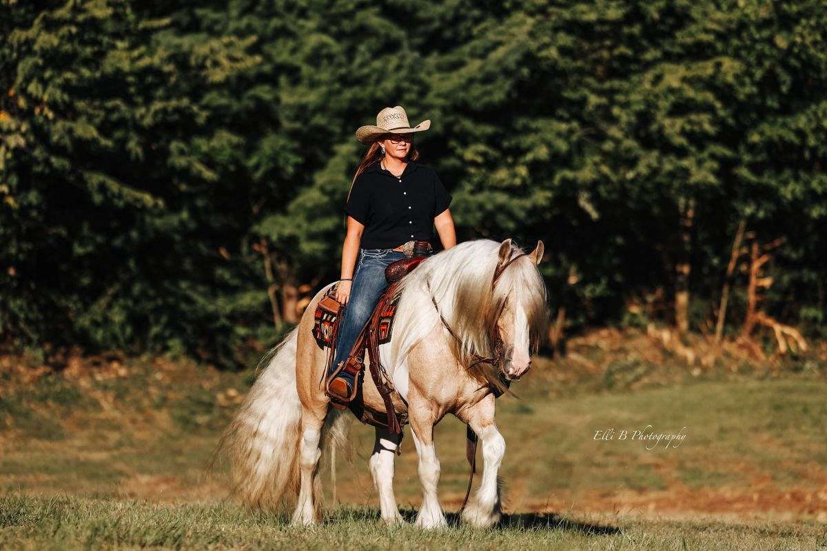Roscoe - Absolutely Breathtaking 9 yo Palomino Paint Gypsy Vanner Gelding!