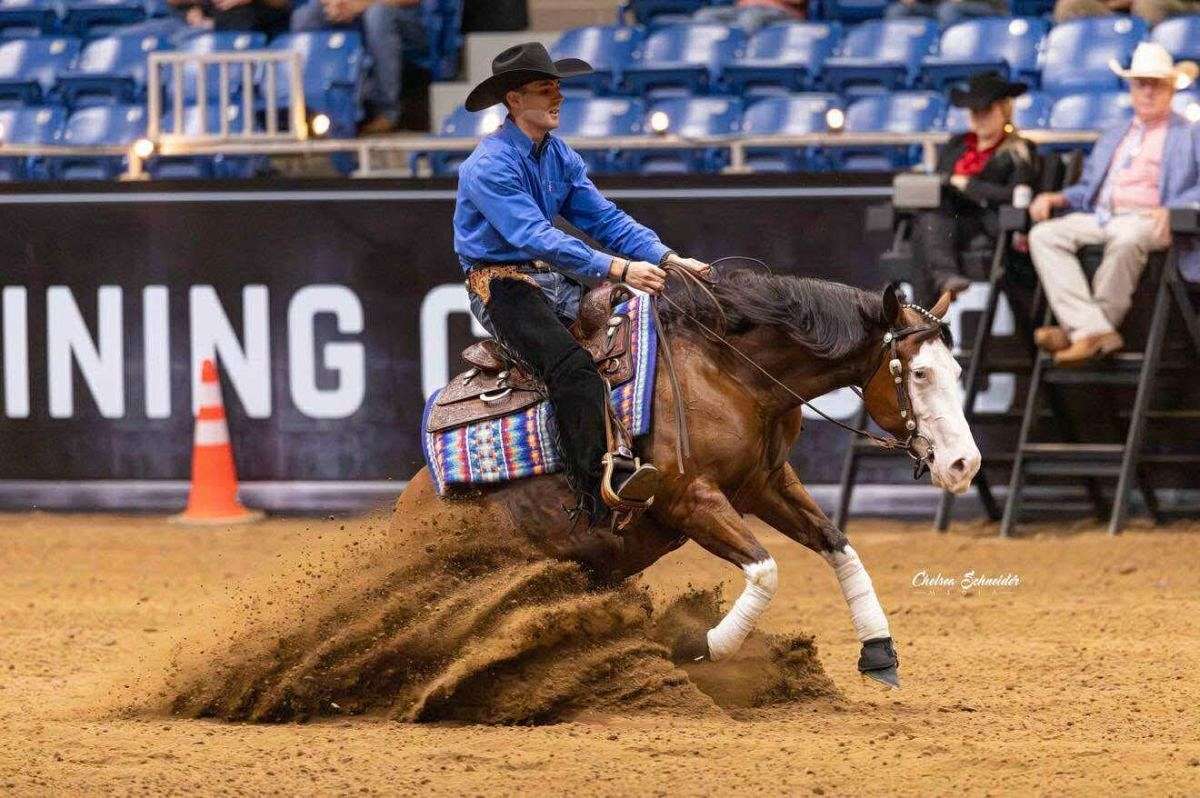 Fancys Shining Gun - Classy Ranch & Reining Prospect 3 Yr Old Bay AQHA Mare