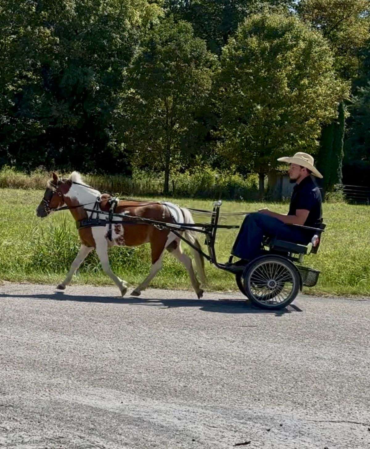 Kid-Safe, Cart-Ready & Cute As They Come!