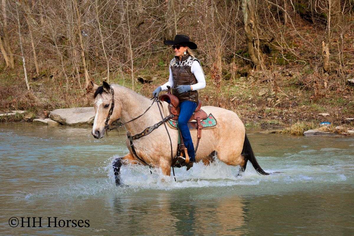 Pretty Buttermilk Buckskin Quarter Horse Mare, Trail Rides, Ranch Work