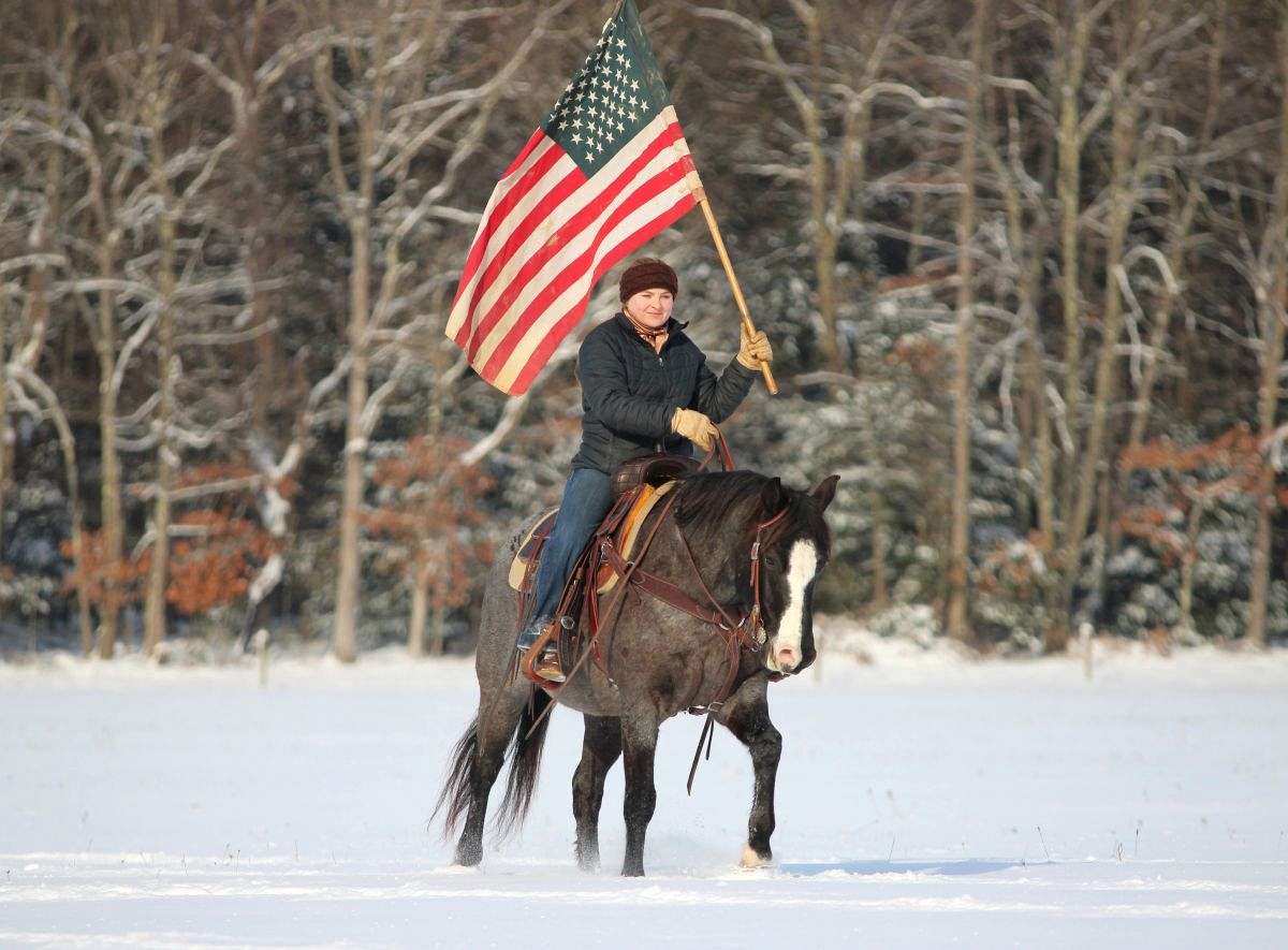 Theo - Good Broke All Around Horse 5 Yr Old Blue Roan QH Gelding!