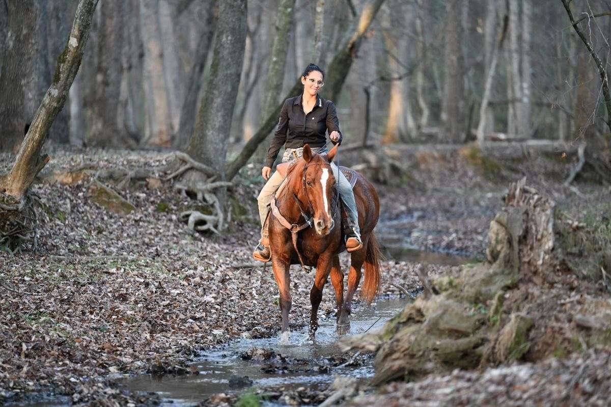 Finished Barrel Racer