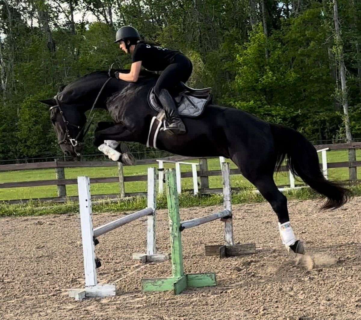 Upper Level Hunter Prospect