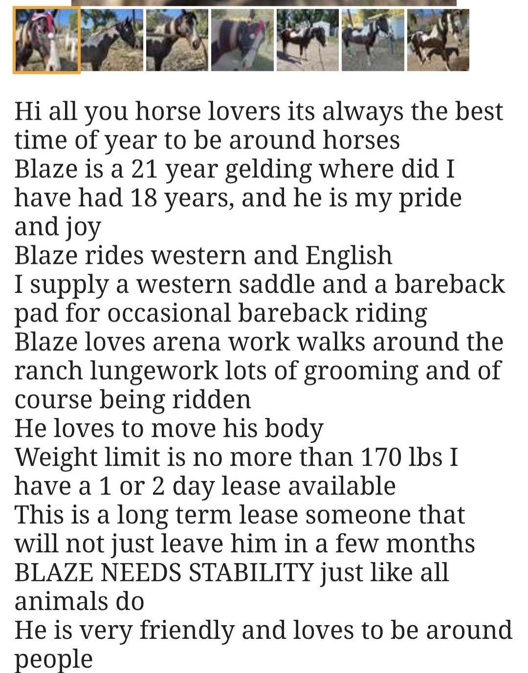 Horse Lease