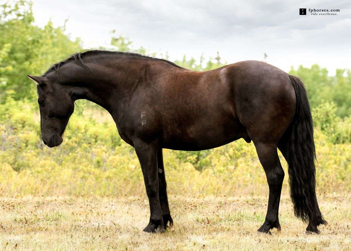 Rare and Beautiful