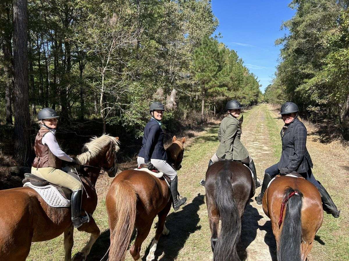 Copper Zen - 9yo Draft Cross