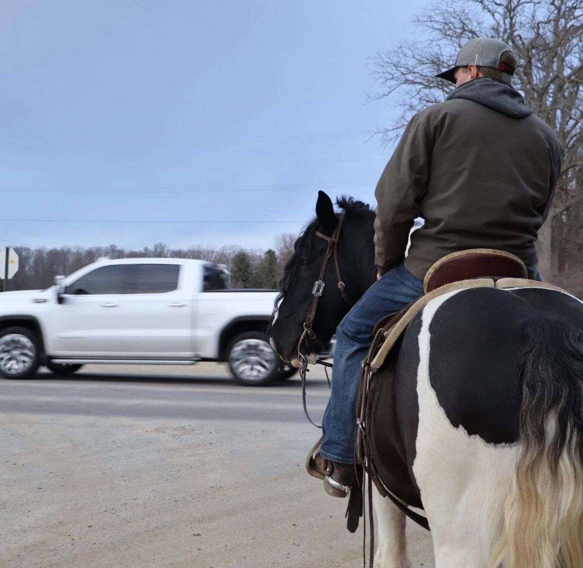 Pudge - Trustworthy All-Around Partner 10 yo Piebald Gypsy Vanner Gelding!