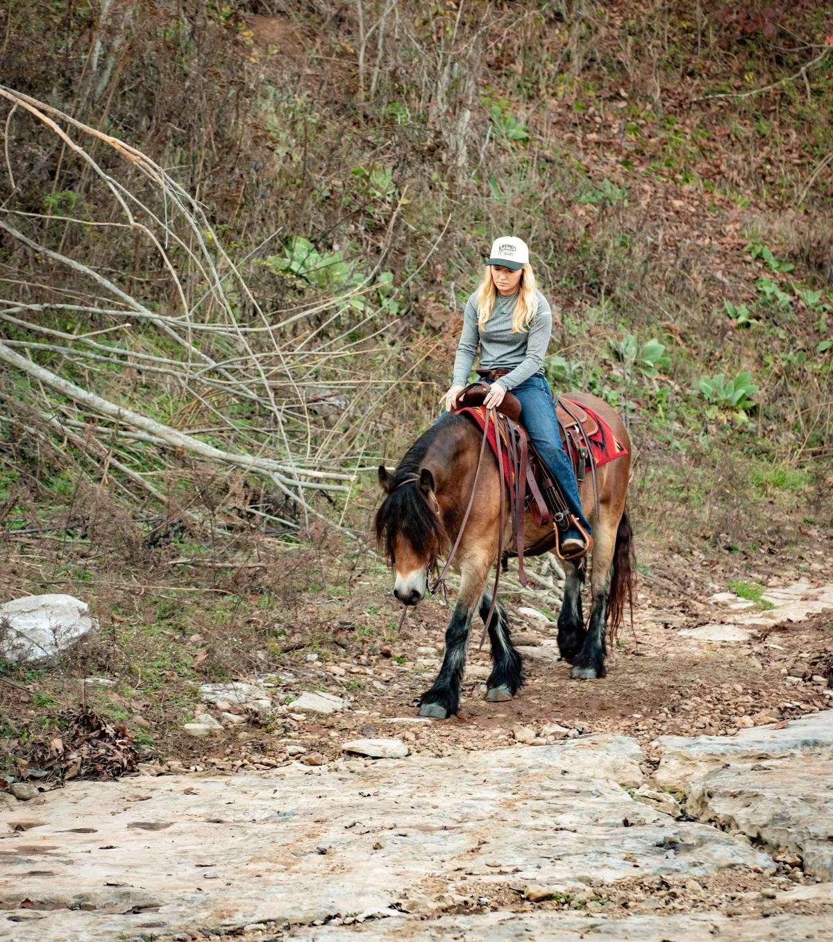 Dakota - Bombproof, Family Horse 5 Yr Old Bay Gypsy Vanner Mare!