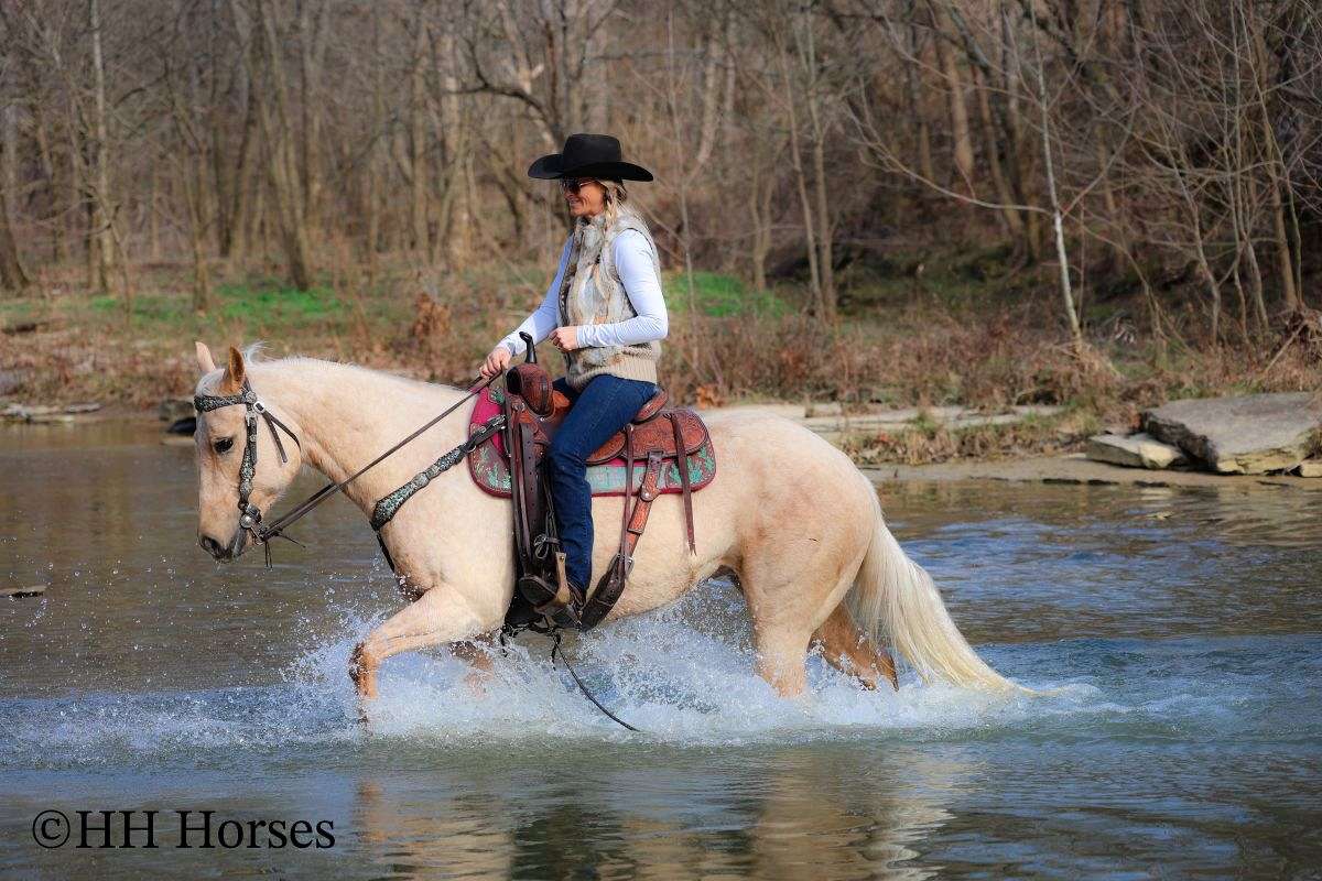 Athletic, Resposive, Quick Registered AQHA Palomino Mare, Ranch, Trails