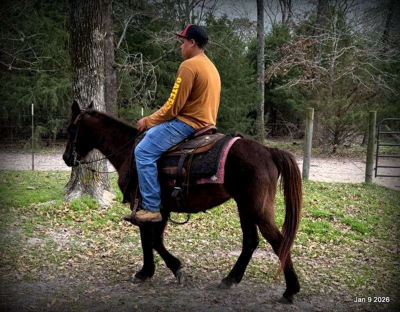 Sweet Willing Project Ready to be Finished Out