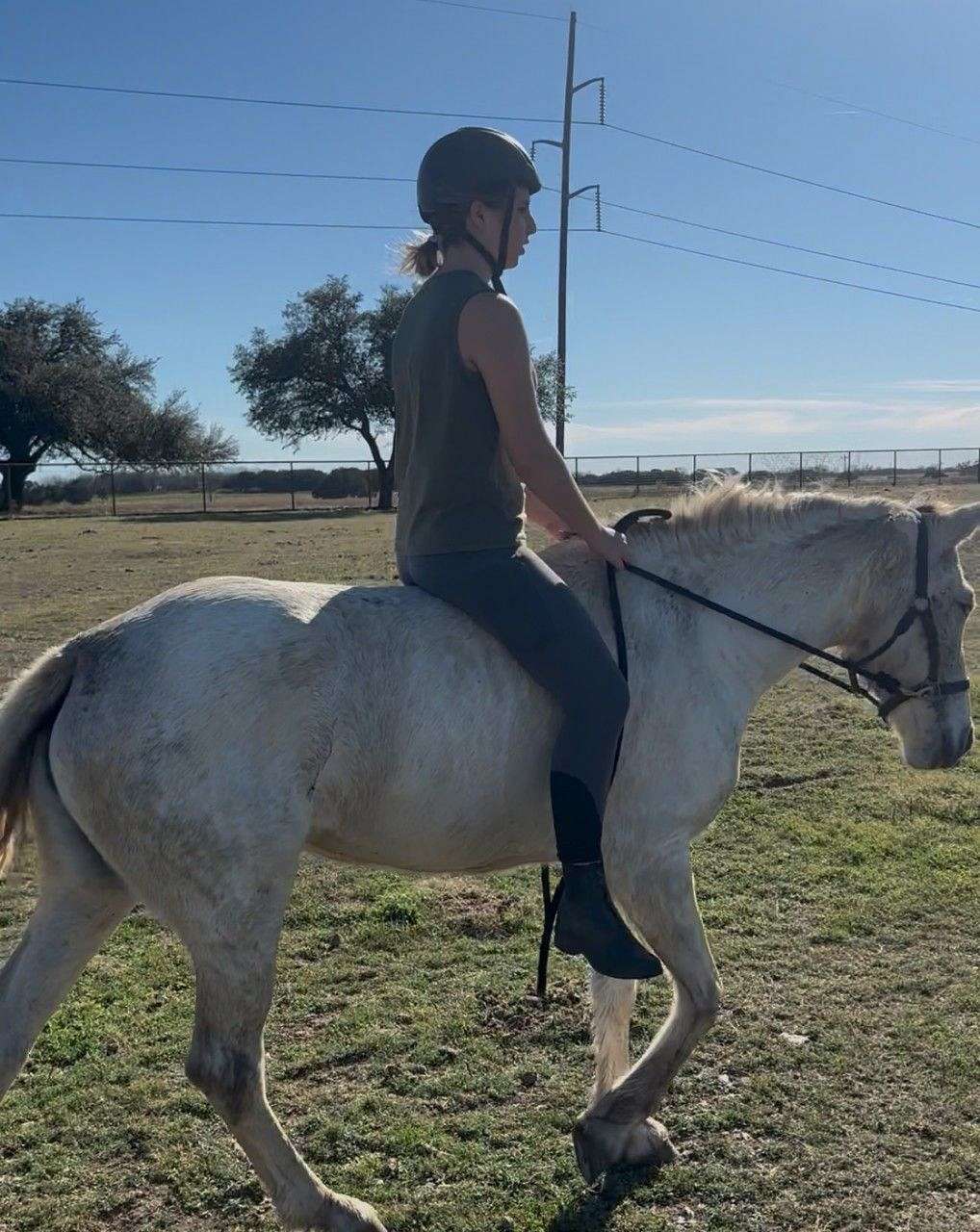 Mustang Mare Looking for Her Next Home