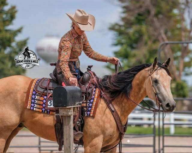 AQHA Points, $6800 Earnings, Kid Safe, Ranch, Trails, Reiner, Ropes, Shows!