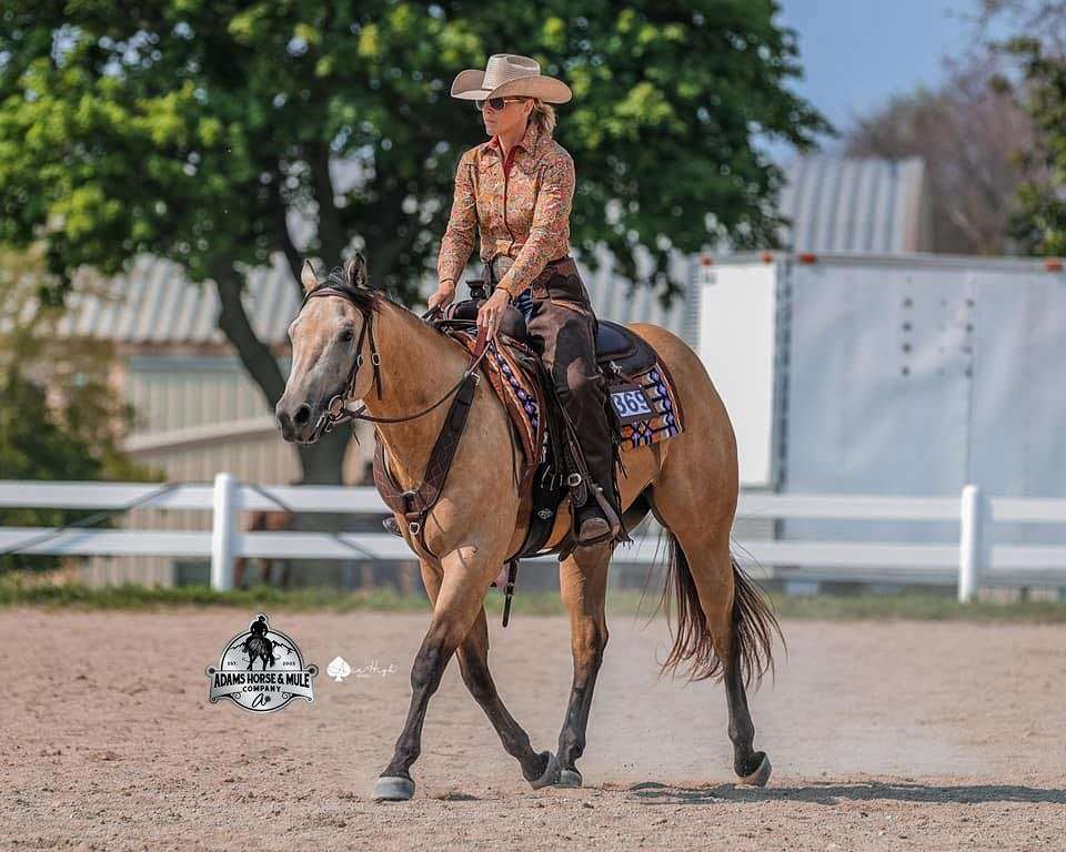 AQHA Points, $6800 Earnings, Kid Safe, Ranch, Trails, Reiner, Ropes, Shows!