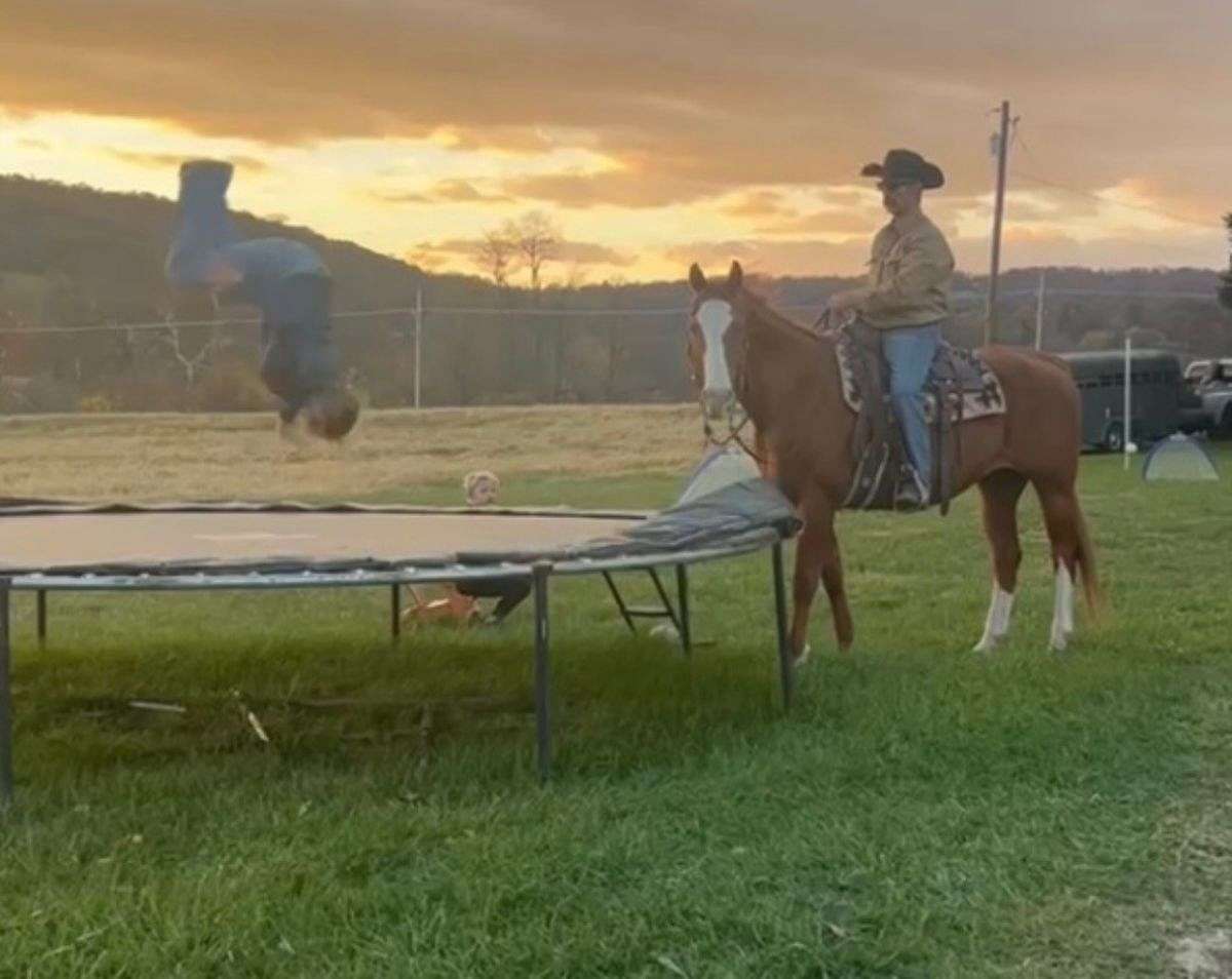 He is a Top Notch Trails,Shown At the Open Shows, 4-h and Ranch Horse Shows
