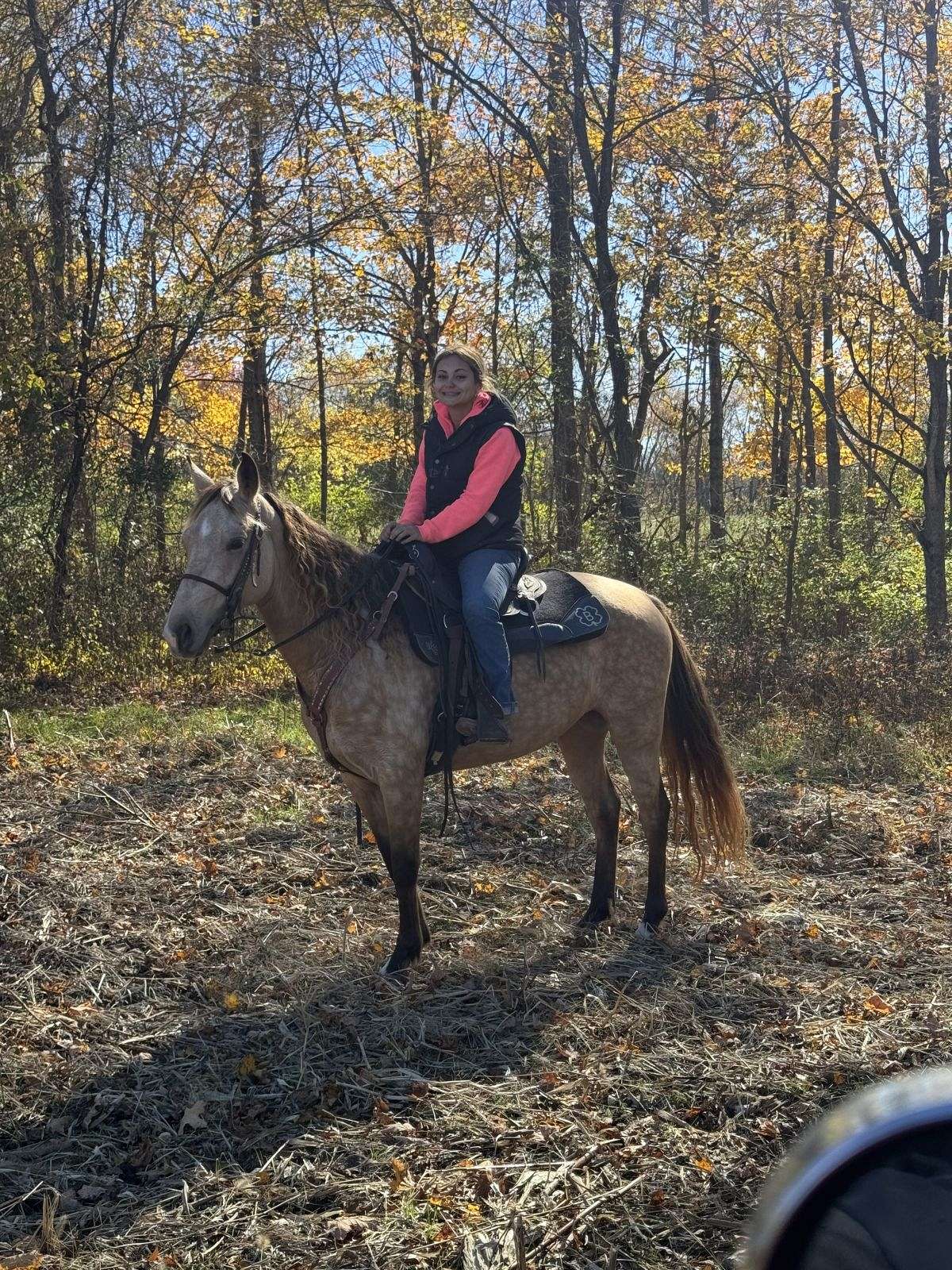 Rocky Mountain Buckskin Mare