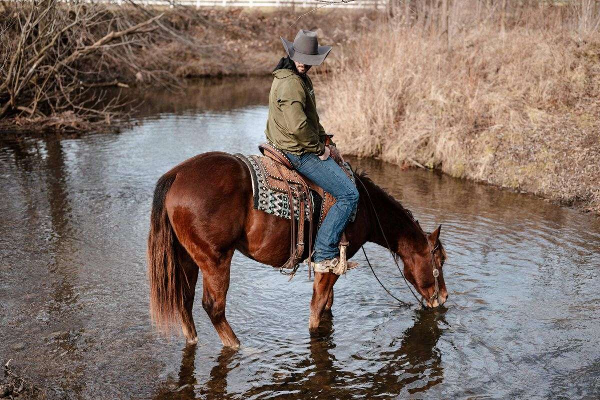 Watch Video! Kid-Safe Western Gelding Roping, Barrels, Trail & Obstacles