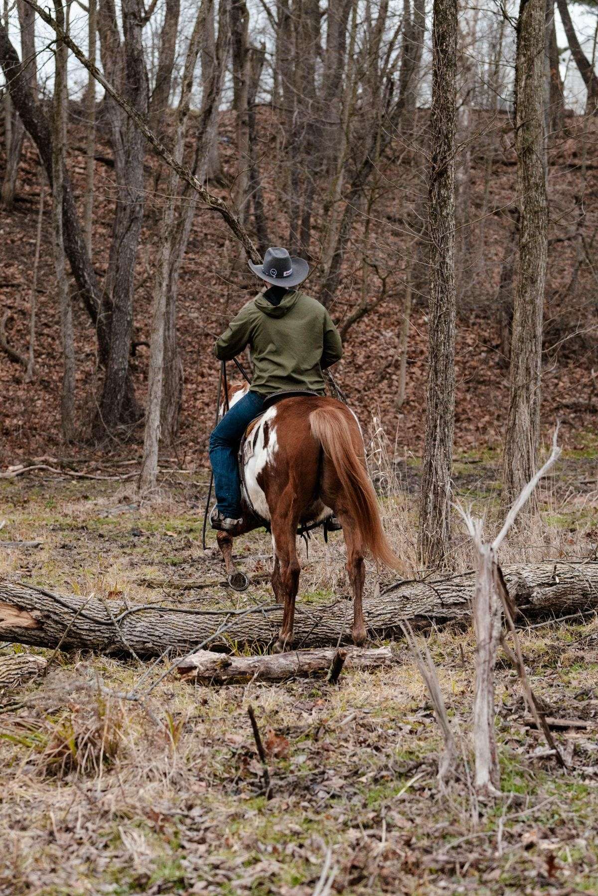 Watch Video! Family-Safe 6-Year-Old Paint Gelding | Trail & Arena Ready