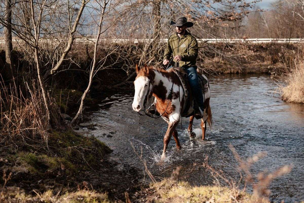 Watch Video! Family-Safe 6-Year-Old Paint Gelding | Trail & Arena Ready