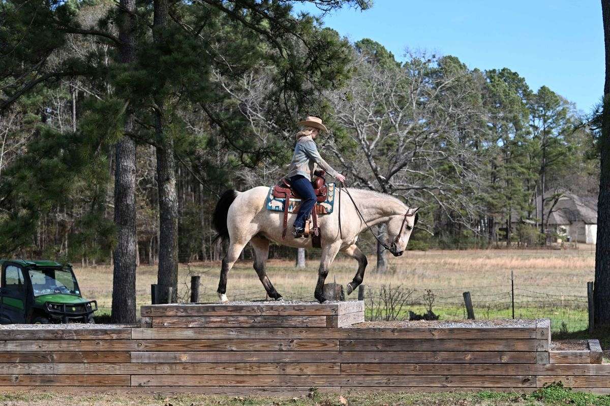 Captain – Sparks Doc Bar – AQHA Buckskin Gelding Reining & Ranch Training!