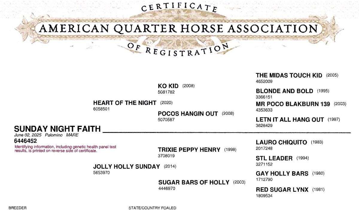 The Midas Touch Kid, Mr Poco Blakburn 139, Lauro Chiquito, Gay Holly Bars