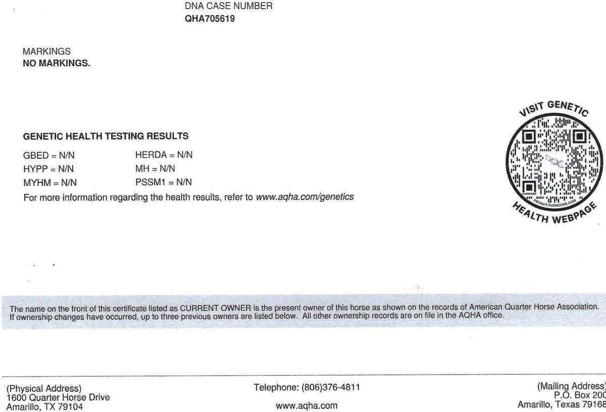 The Midas Touch Kid, Mr Poco Blakburn 139, Gay Bar King, Doc's Lynx Mare