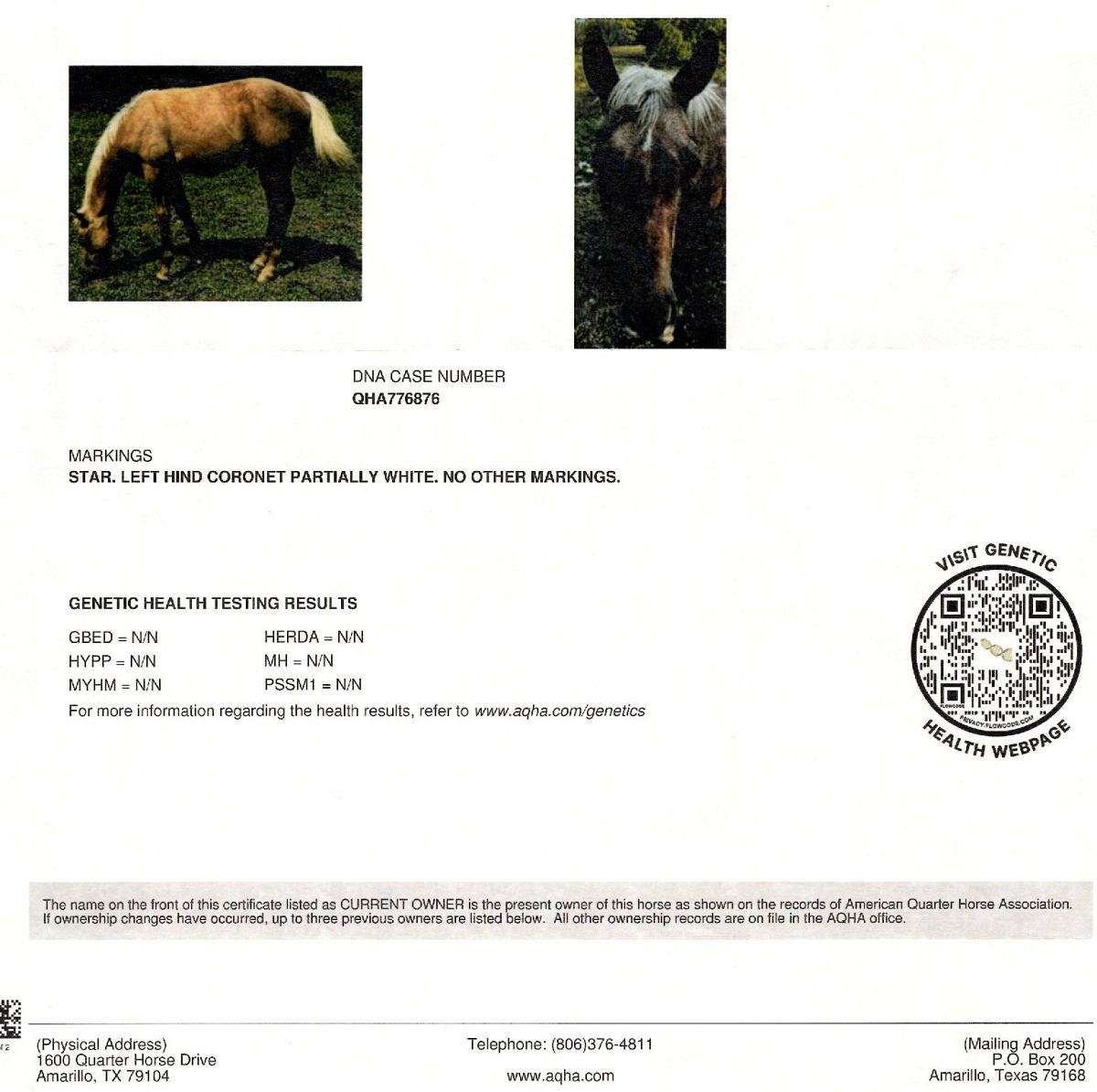 The Midas Touch Kid, Mr Poco Blakburn 139, Lauro Chiquito, Gay Holly Bars