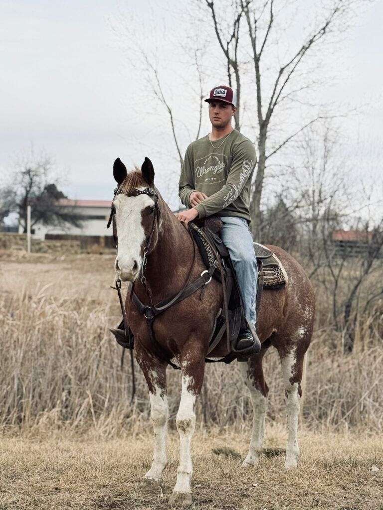 Rgr Enchanted Crush – 2022 APHA Overo Gelding