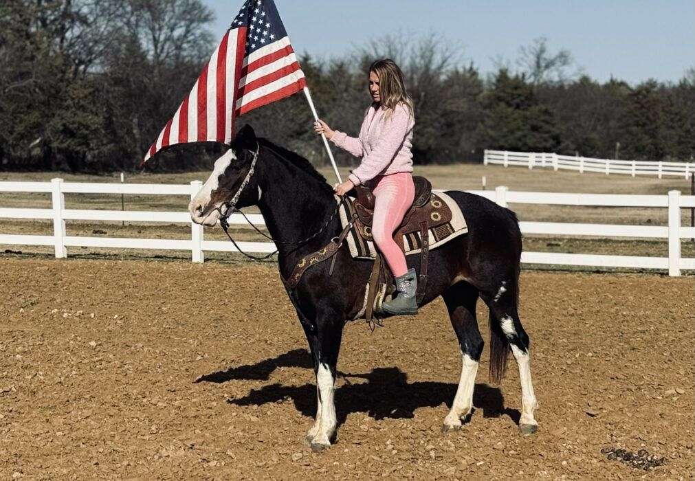 Prada – 2012 Grade Paint Horse Mare