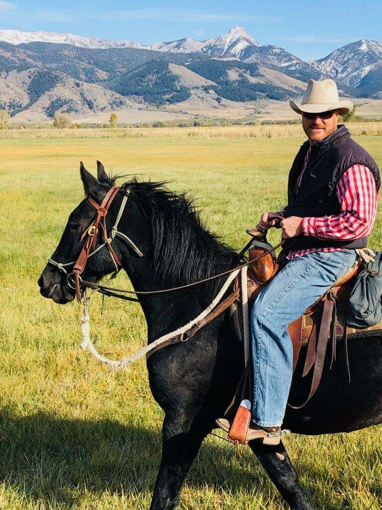 Nic – 2016 Grade Black Morgan/Percheron Cross Gelding