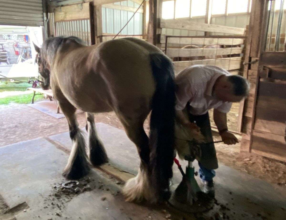 Gitt Put'n On the Ritz