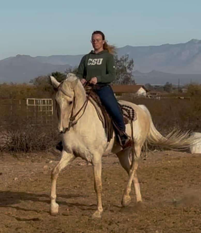 Gorgeous Palomino Mare, Opal Star