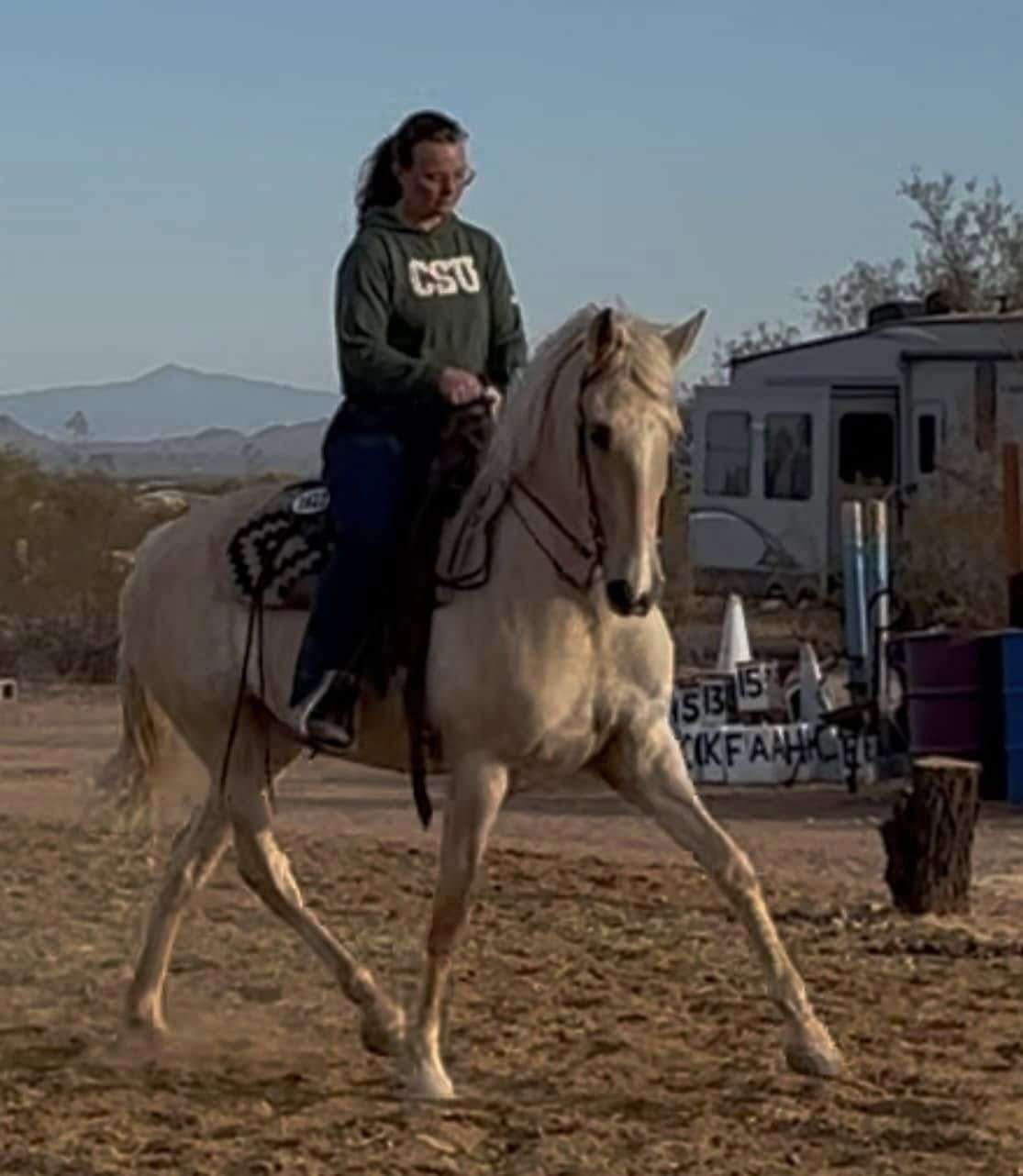 Gorgeous Palomino Mare, Opal Star