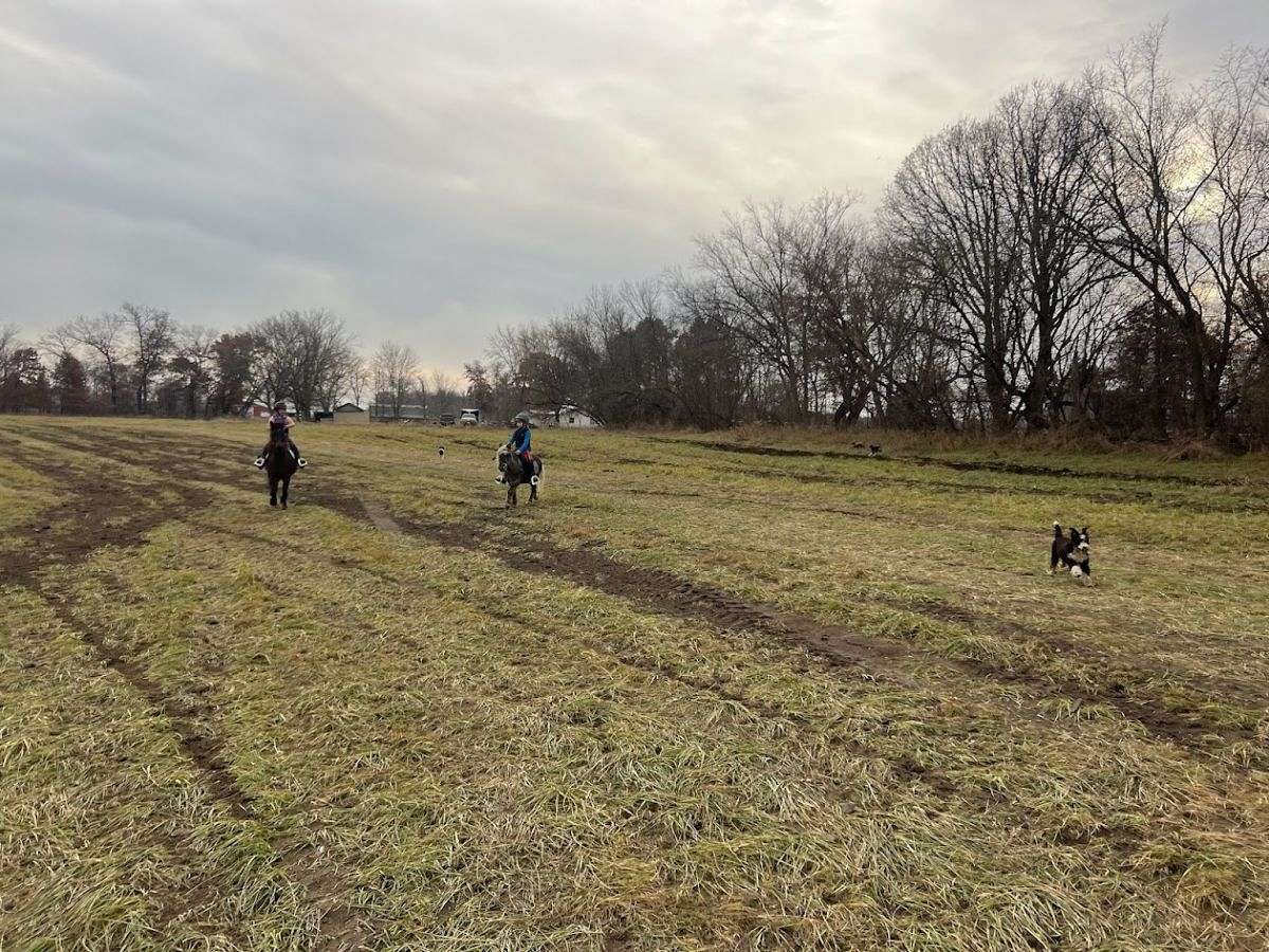 Family-Safe, Kid-Approved, and Fun!